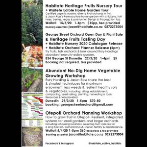 george street orchard