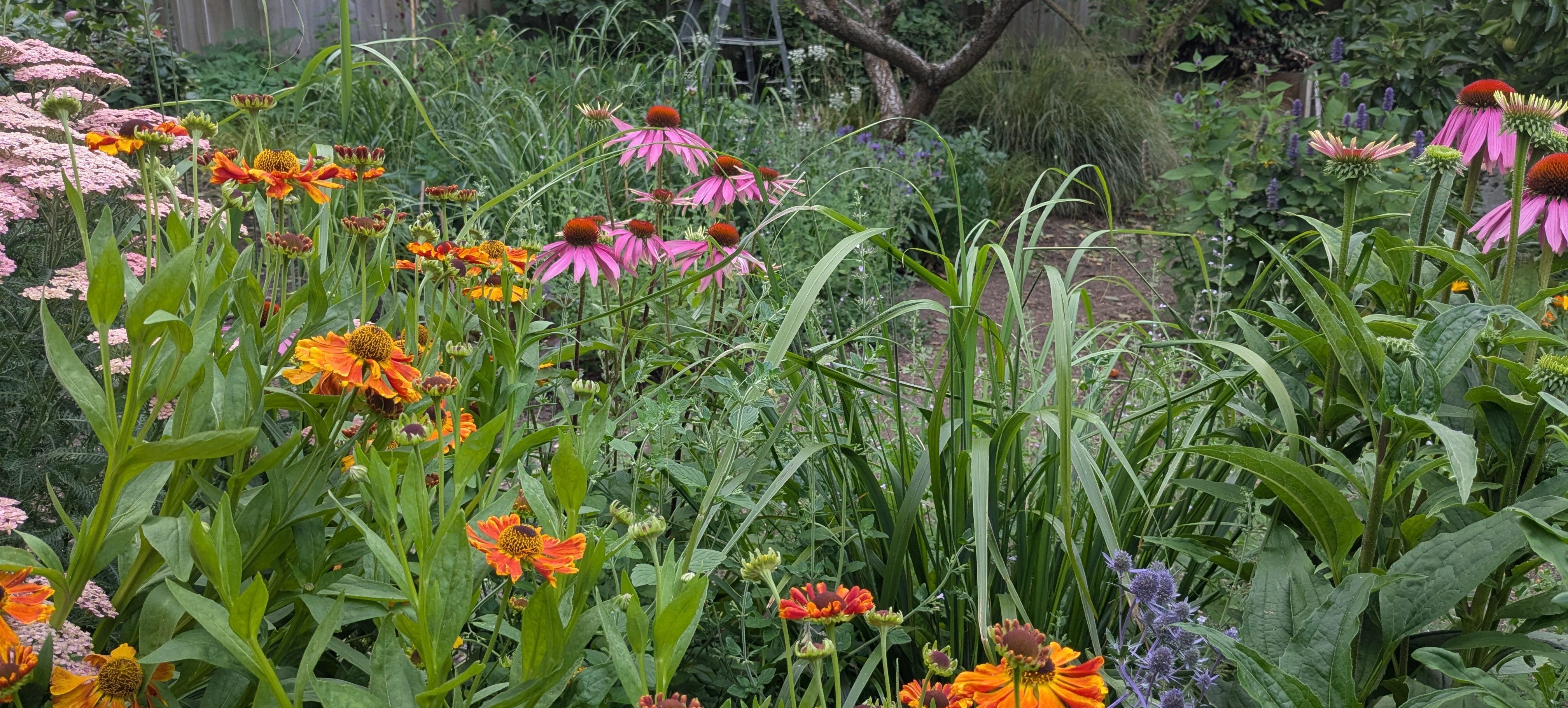 Visit – george street orchard